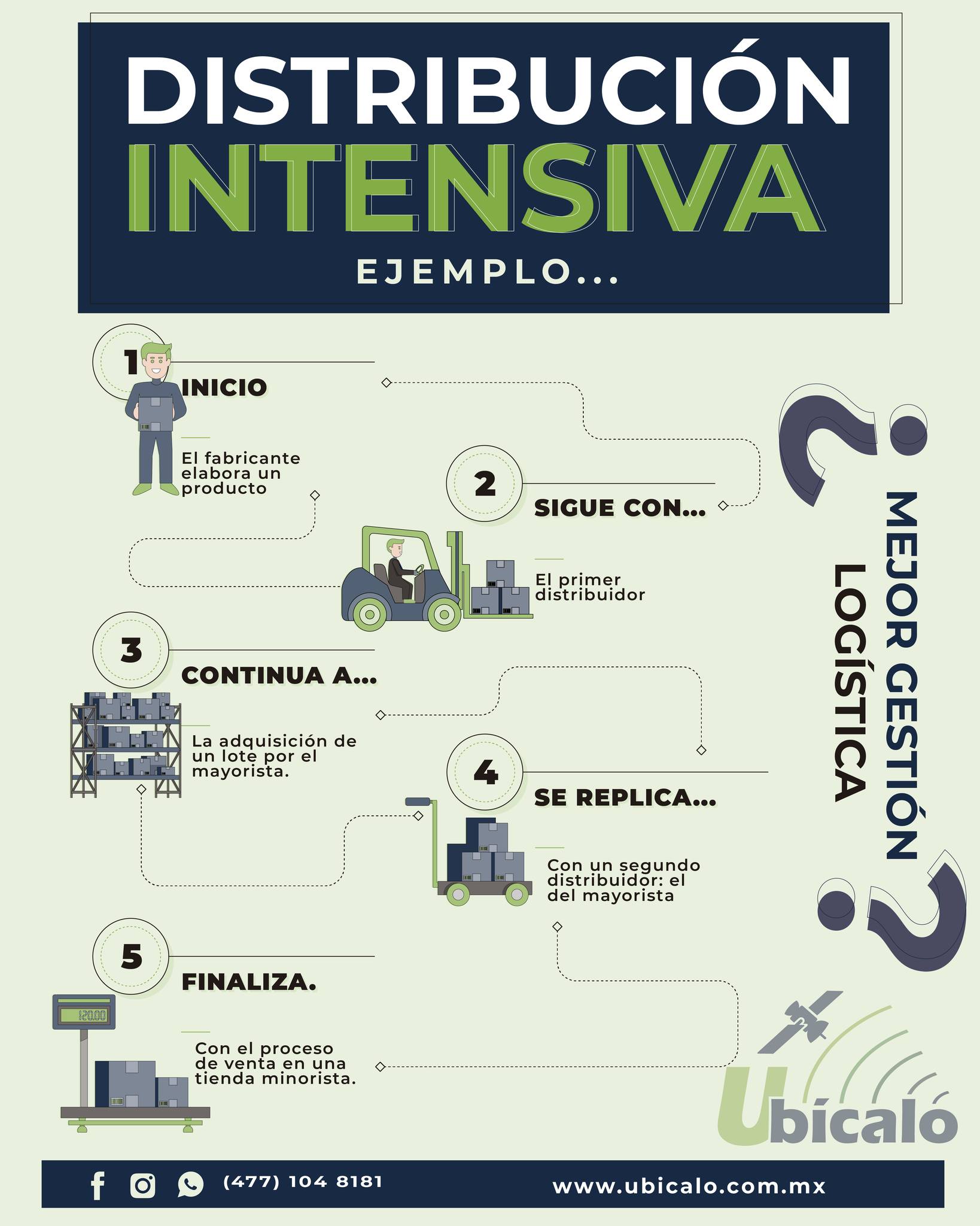 Distribución intensiva: ¿Qué es y cuáles ejemplos existen? - Ubícalo®